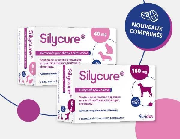 Gamme Silycure - Anidev